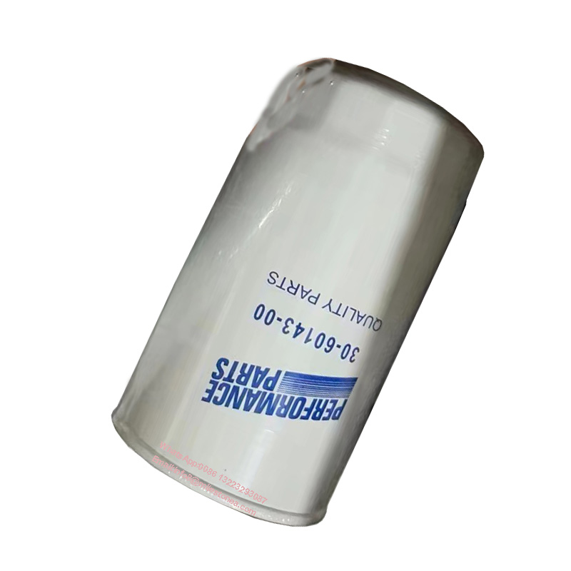 China 306014300 Refrigeration truck oil filter 30-60143-00 factory and ...