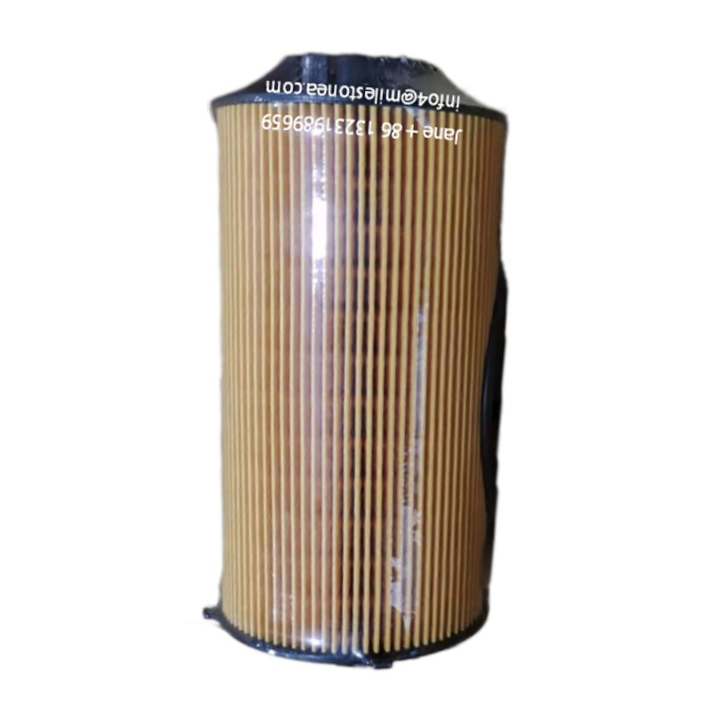 China Diesel engine oil filter A4701800009 A4701840625 4701840725002 ...