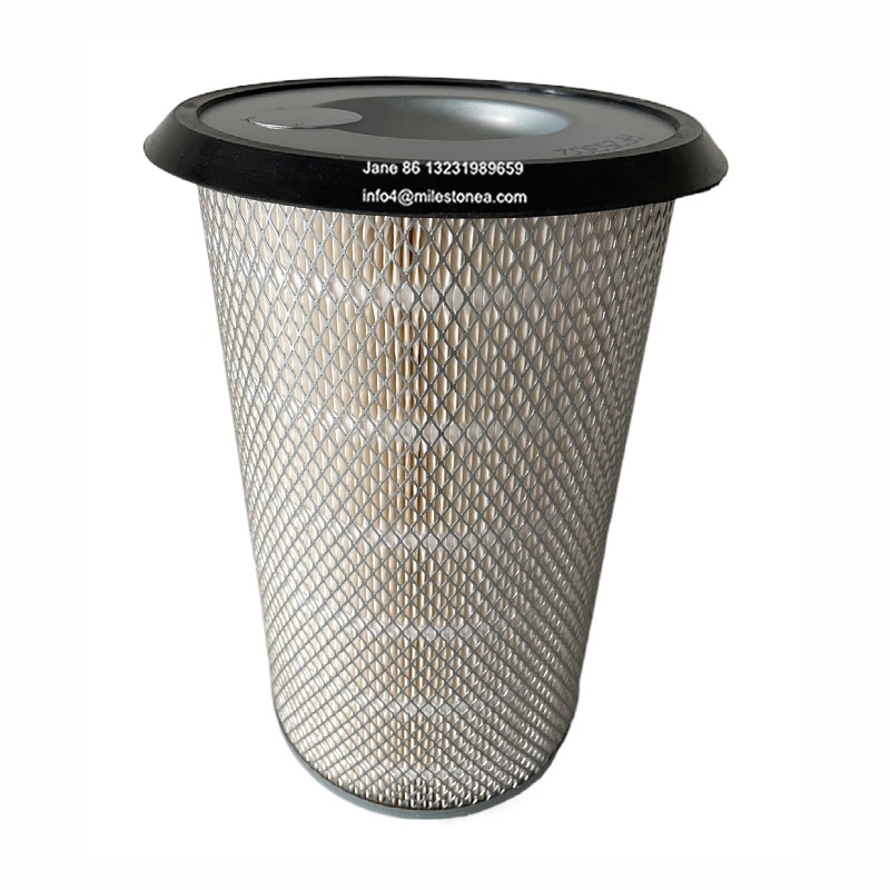 China Chinese air filter factory supply air intake filter P607351 for ...
