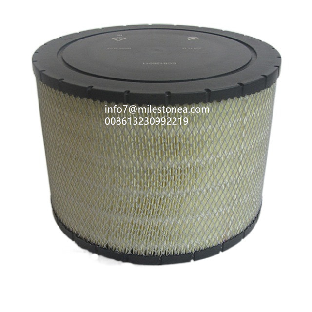 China Air Cartridge Air Filter ECB125011 factory and manufacturers ...