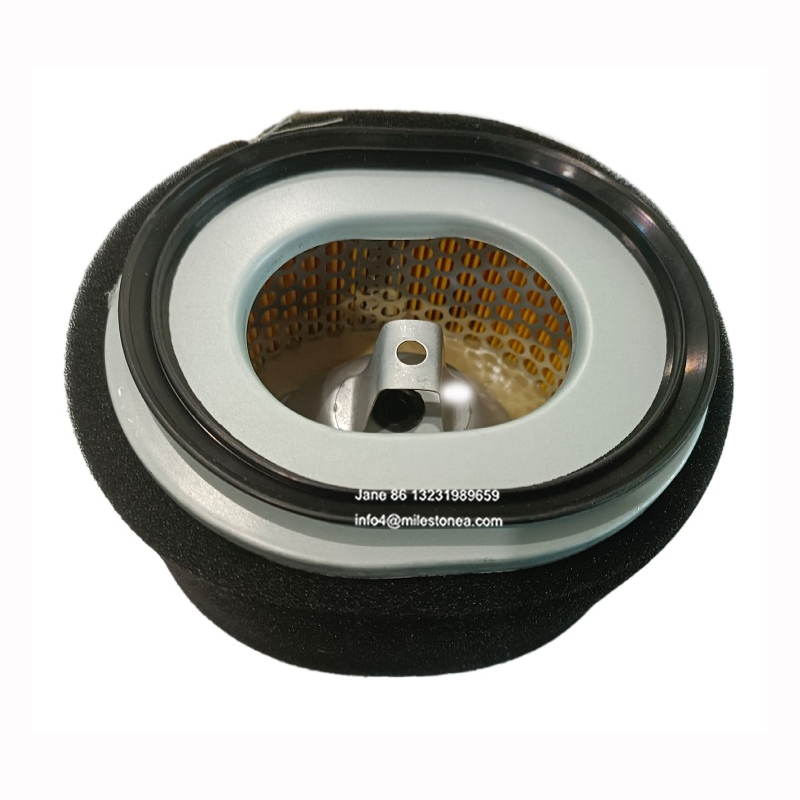 China Air Filter 186F-07100 for Kipor Kama Yanmar KM186FA KM186F L75 ...